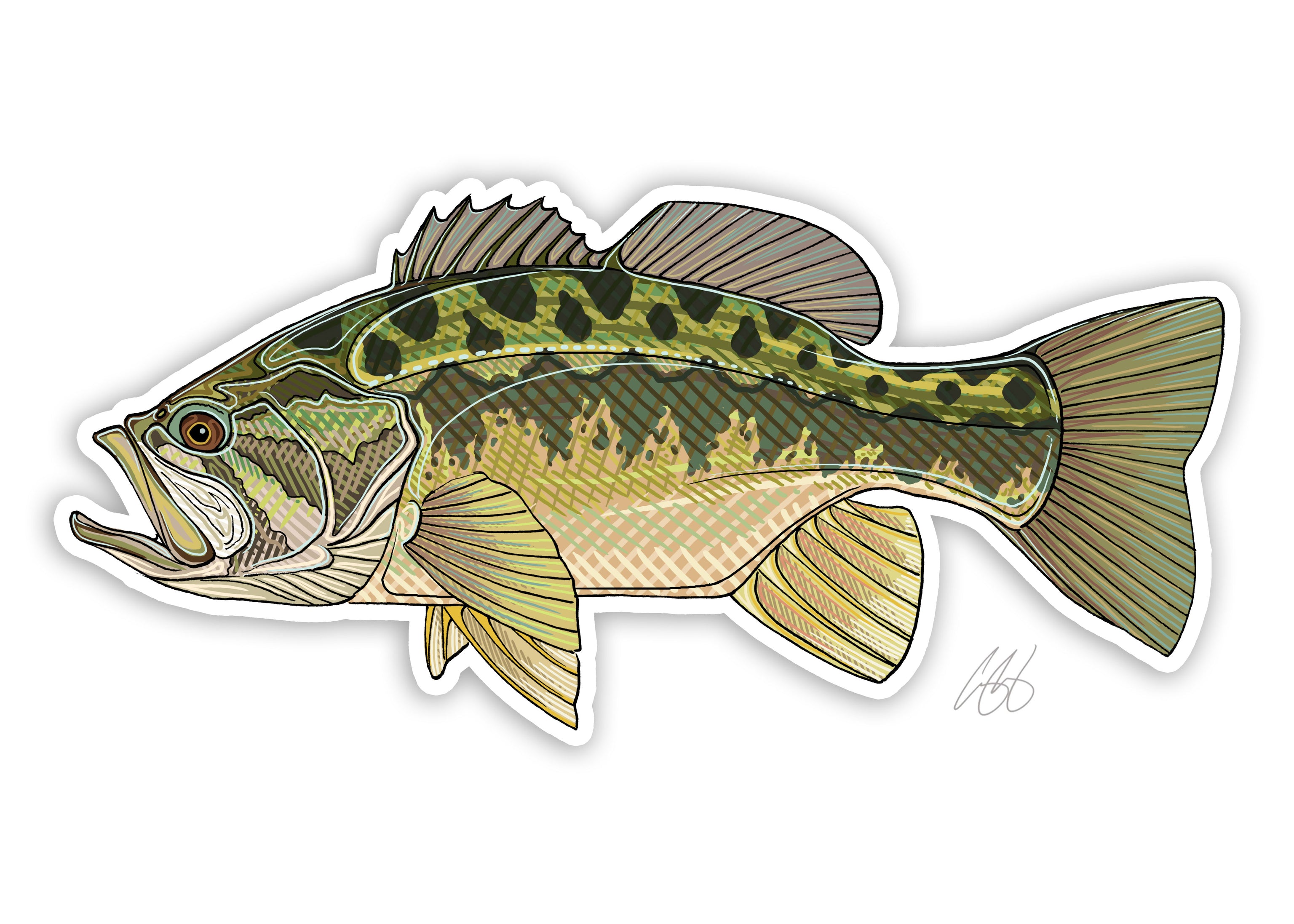 Original Largemouth Bass Decal– Casey Underwood Artwork & Design