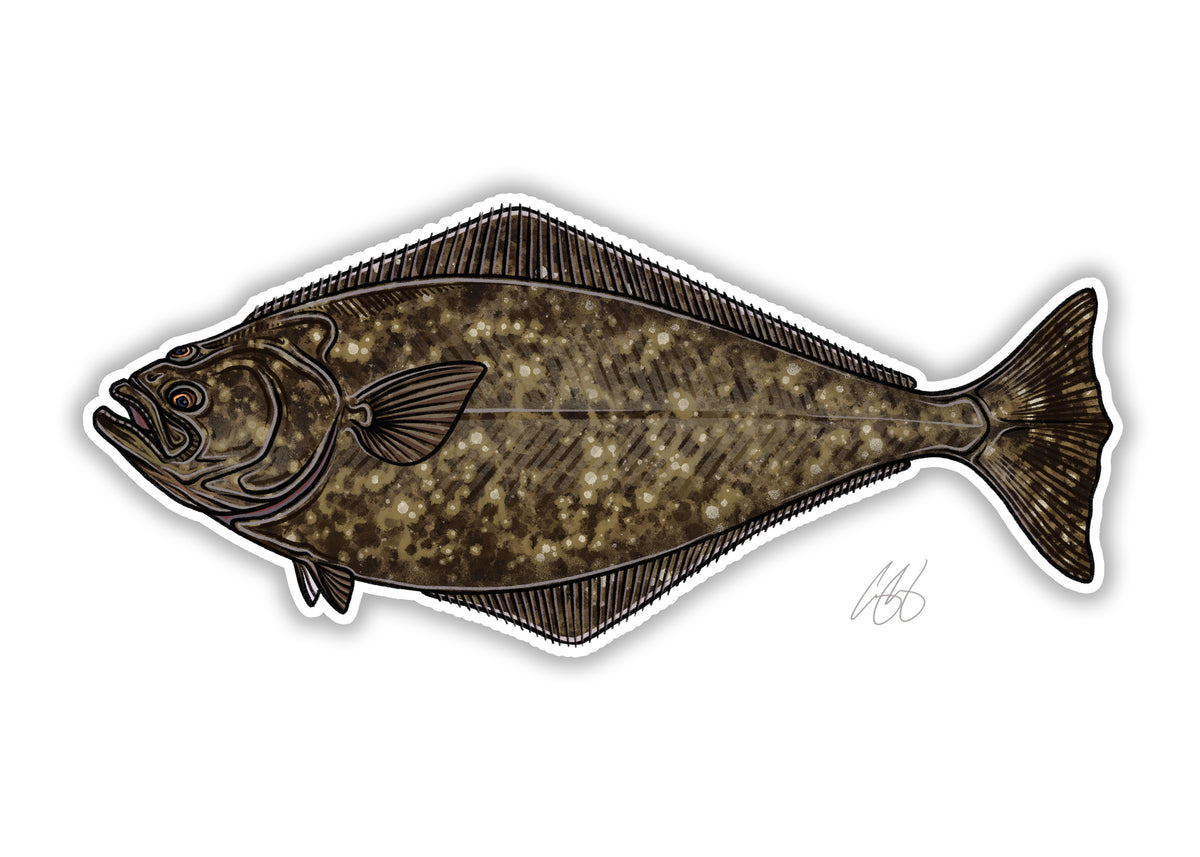 Pacific Halibut Decal– Casey Underwood Artwork & Design