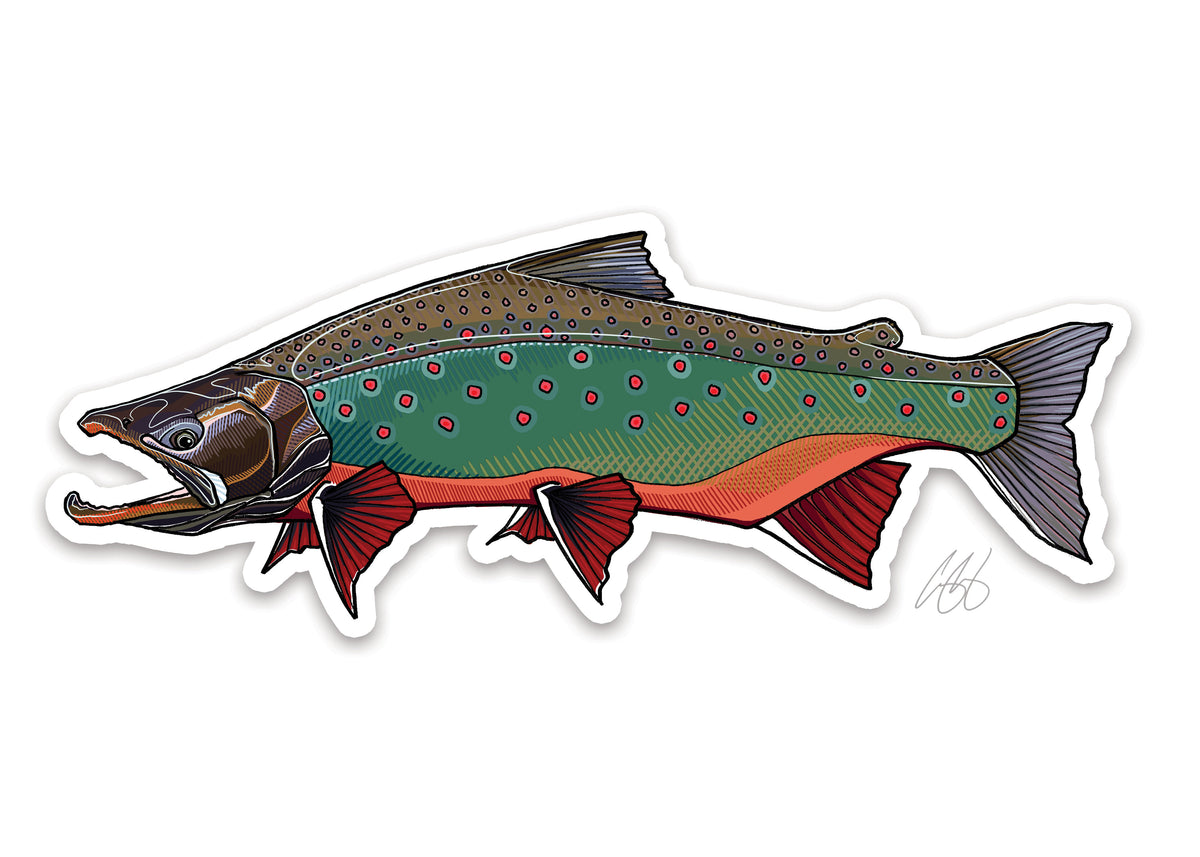 Fish Decals– Casey Underwood Artwork & Design