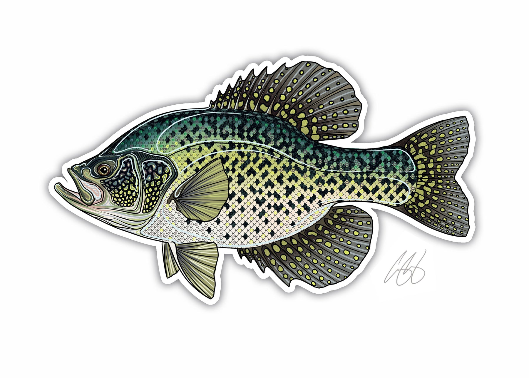 Fish Decals– Underwood Creative LLC