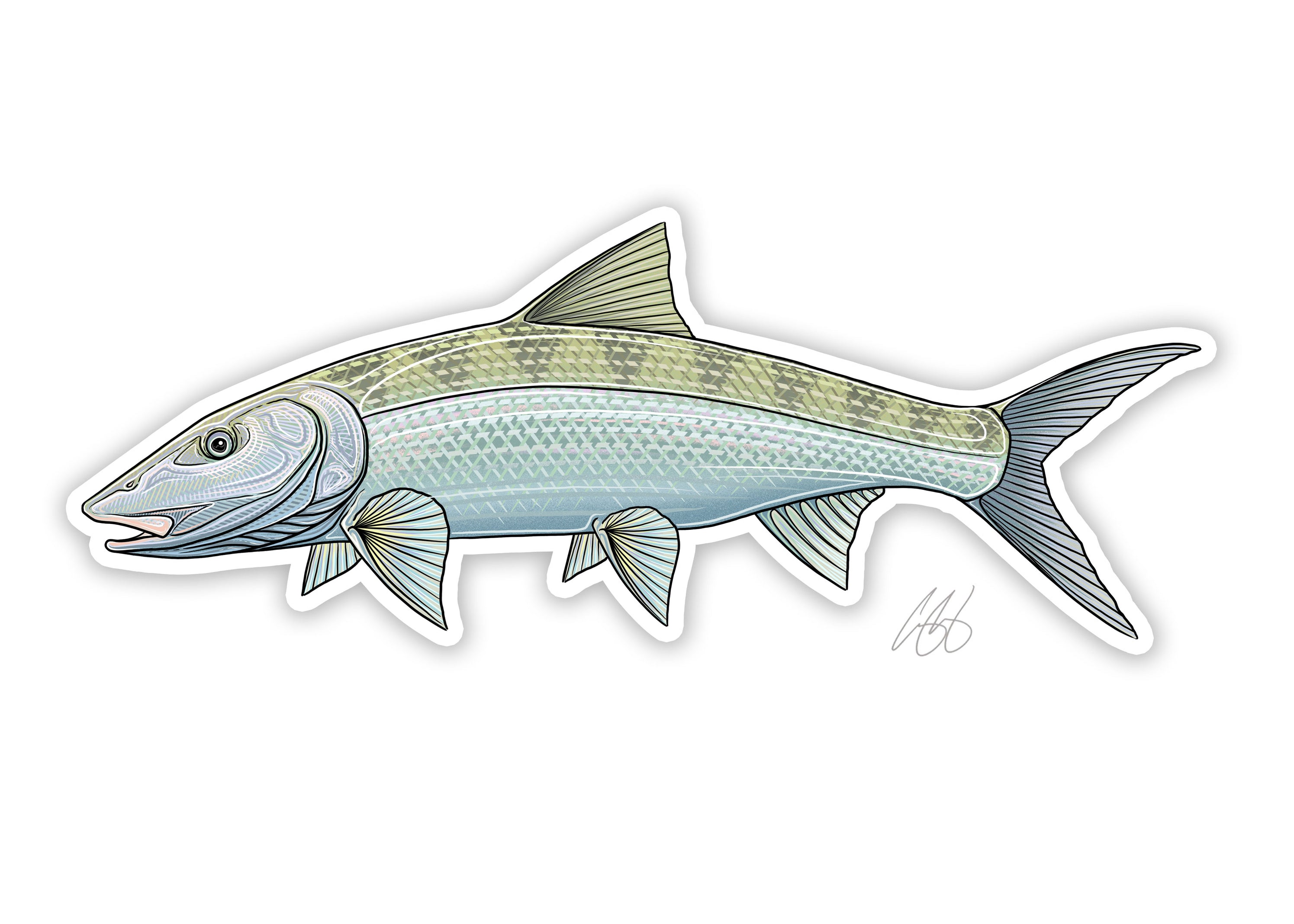 Bonefish Decal– Casey Underwood Artwork & Design