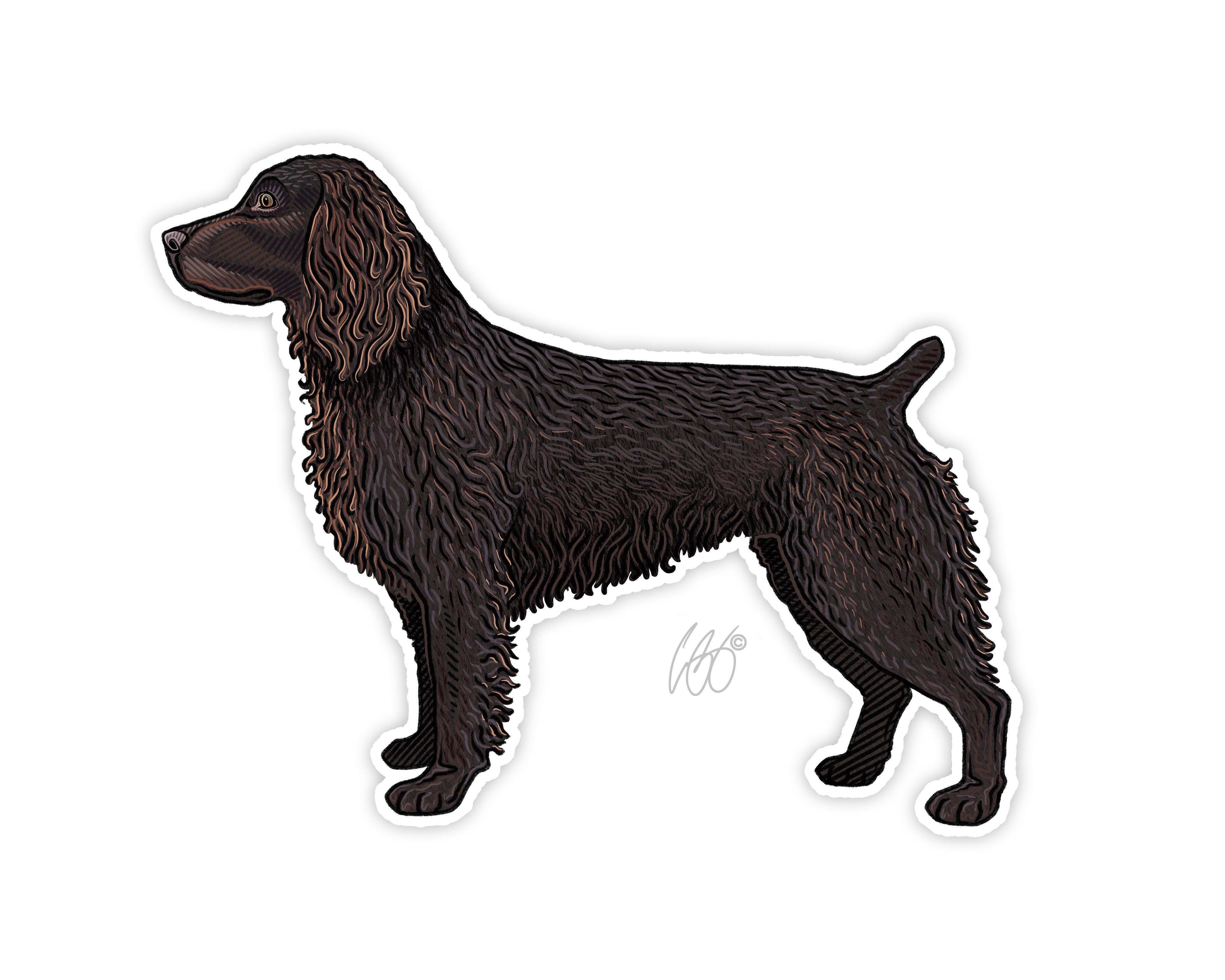 Boykin Spaniel Decal– Underwood Creative LLC
