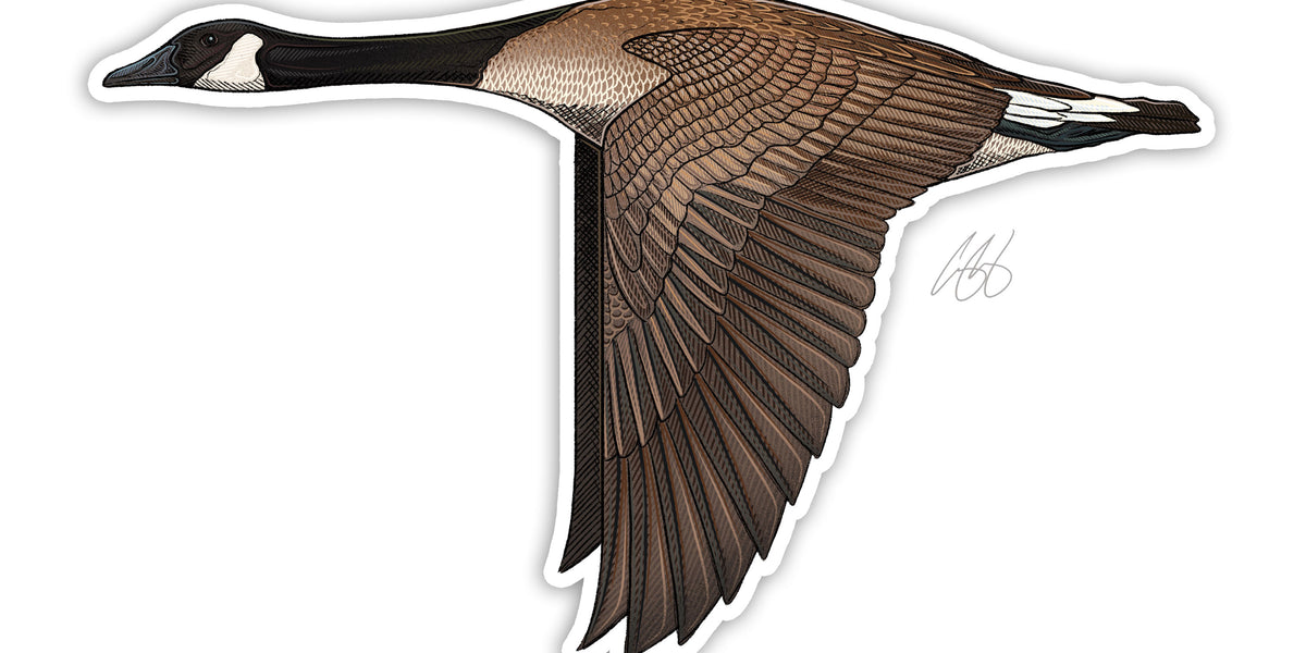 Canada Goose Decal– Casey Underwood Artwork & Design