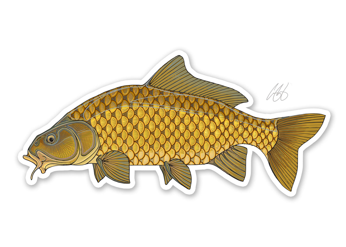 Fish Decals– Casey Underwood Artwork & Design