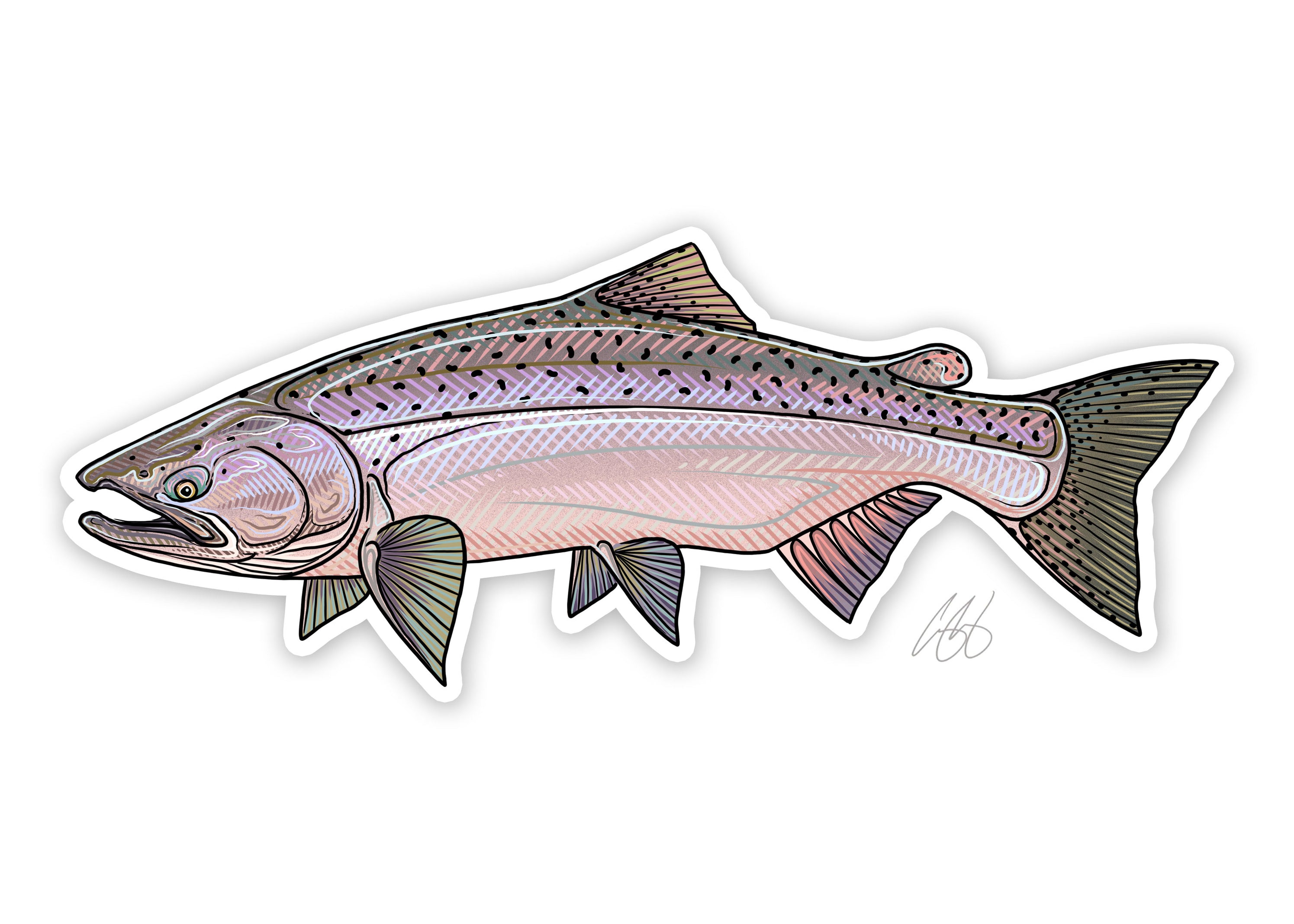 Chinook Salmon Decal– Casey Underwood Artwork & Design
