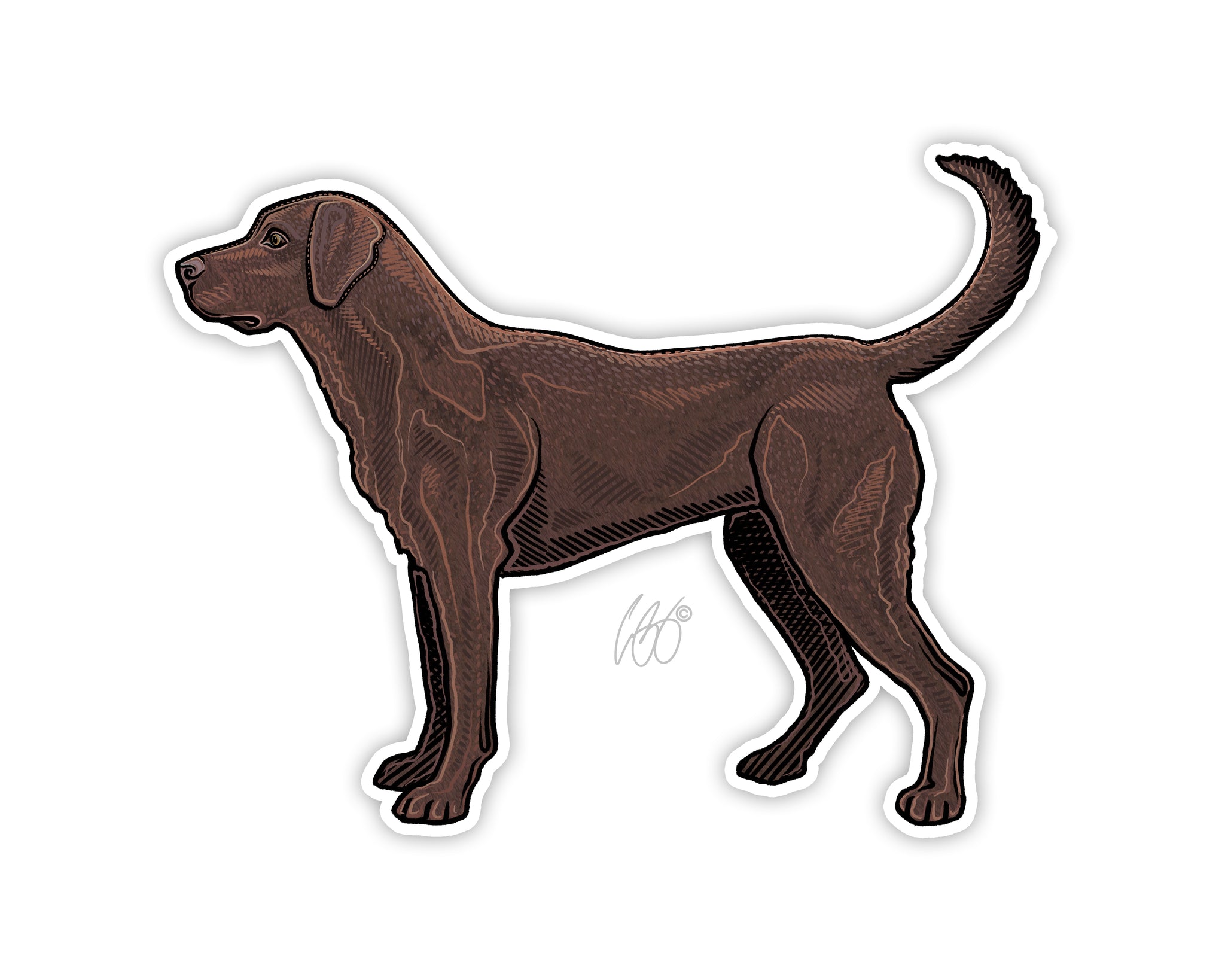 Chocolate Lab Decal– Casey Underwood Artwork & Design