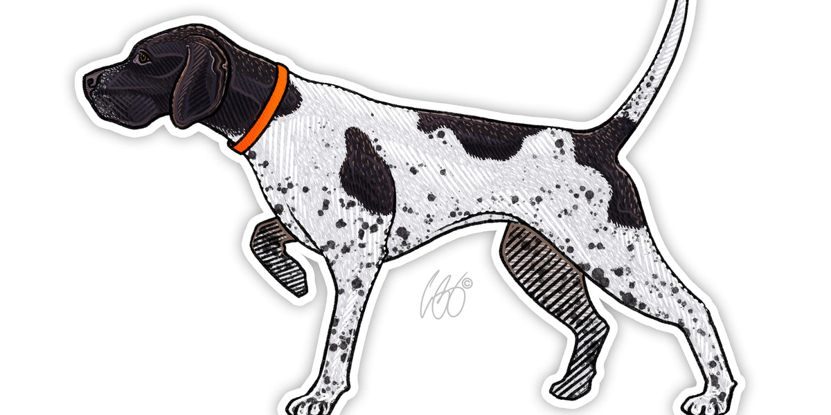 English Pointer Decal– Casey Underwood Artwork & Design