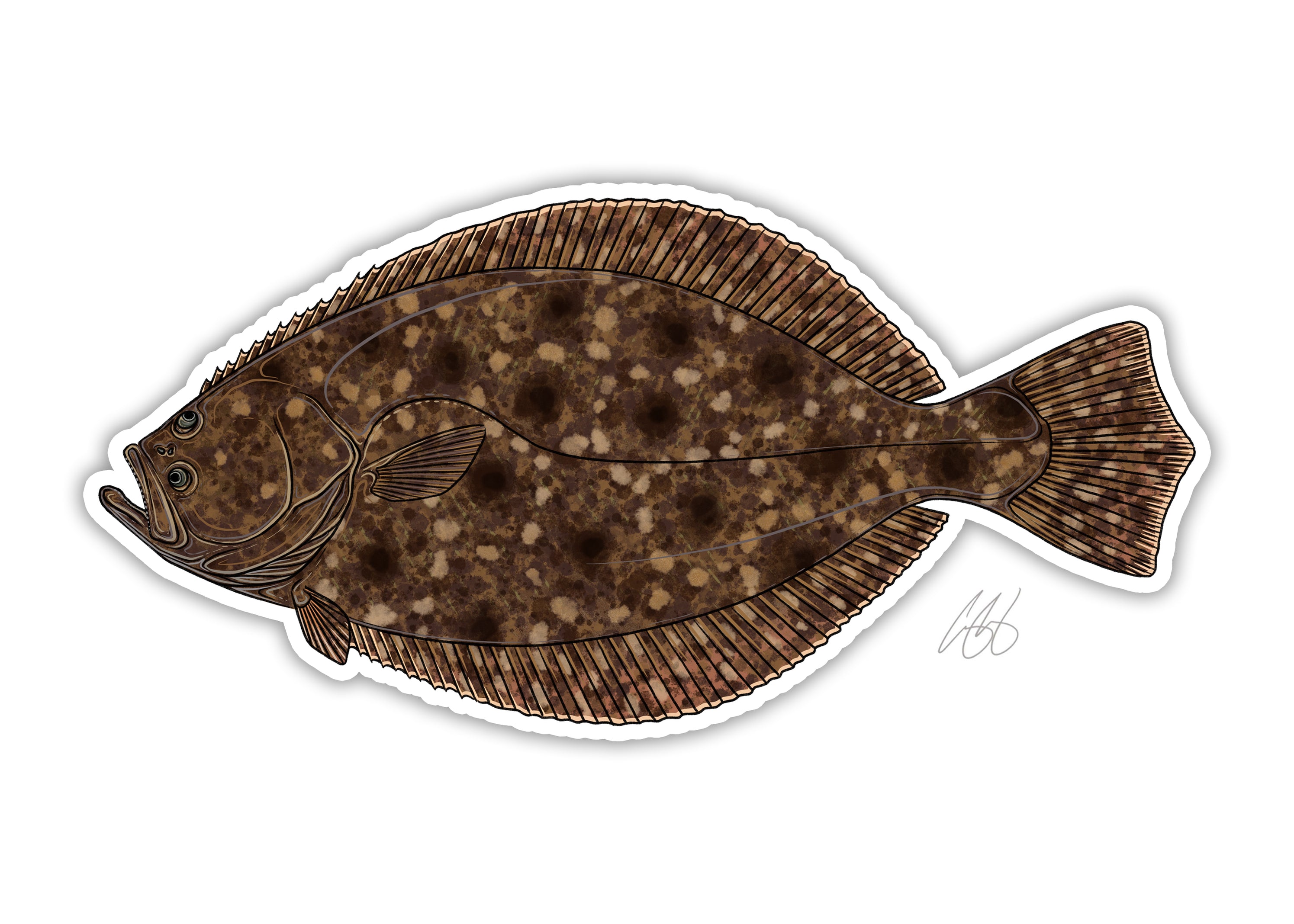 Flounder Decal– Casey Underwood Artwork & Design