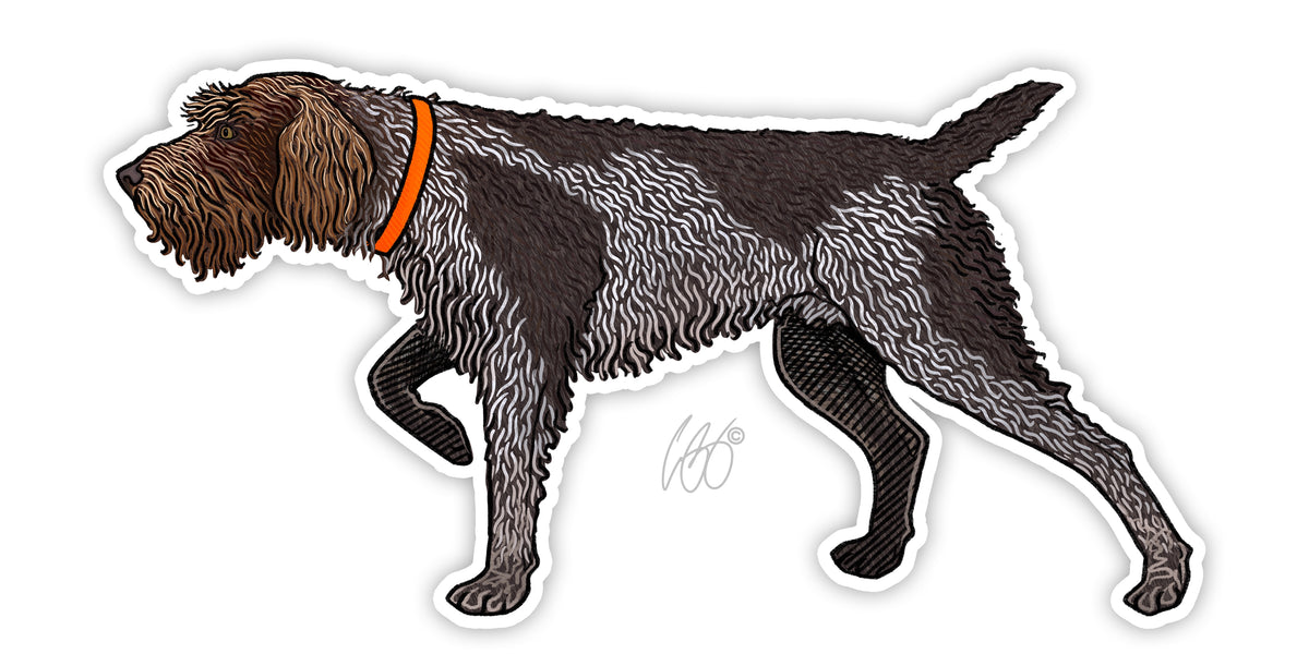 Wirehaired Pointing Griffon Decal– Casey Underwood Artwork & Design