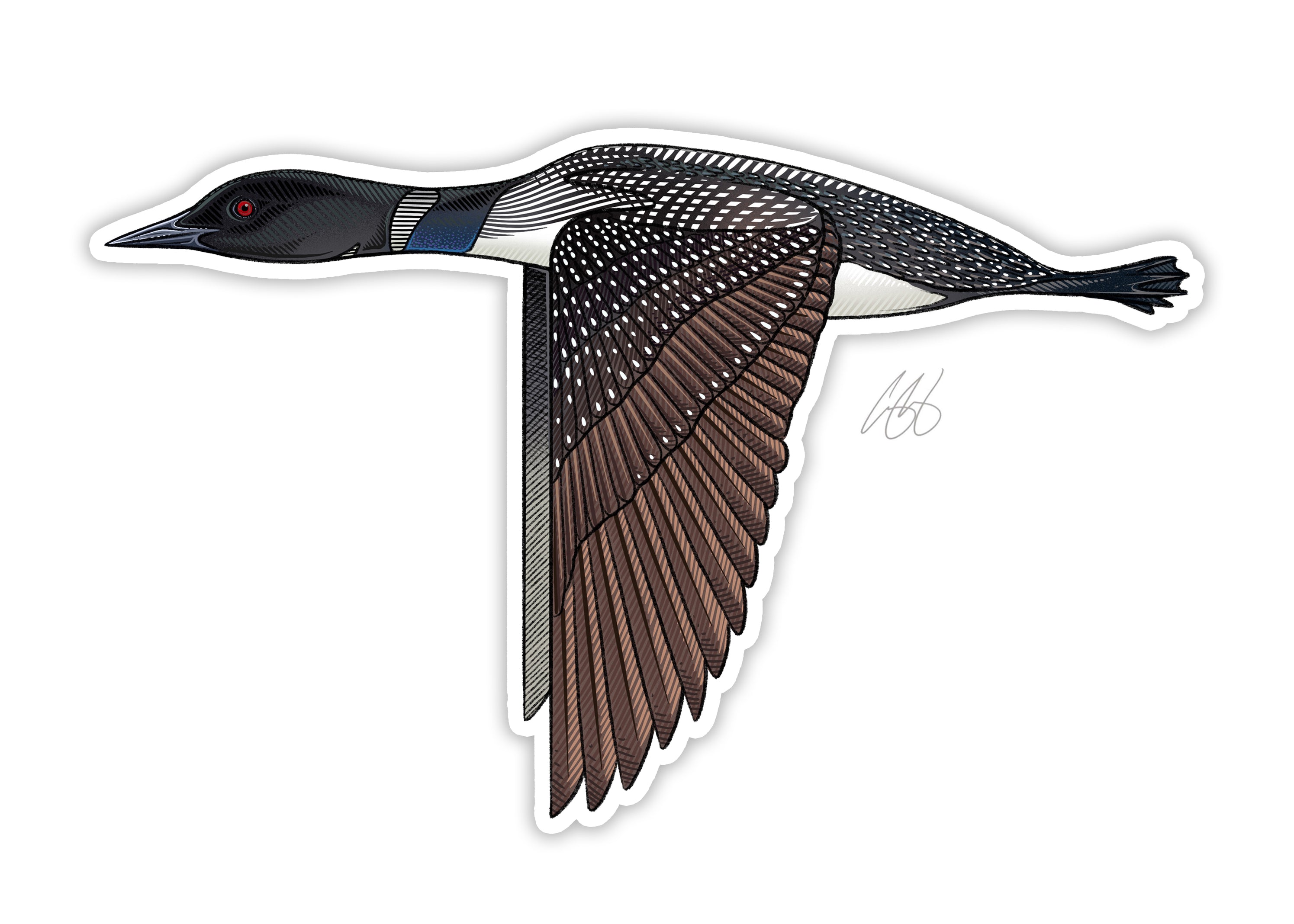 Loon Decal– Casey Underwood Artwork & Design