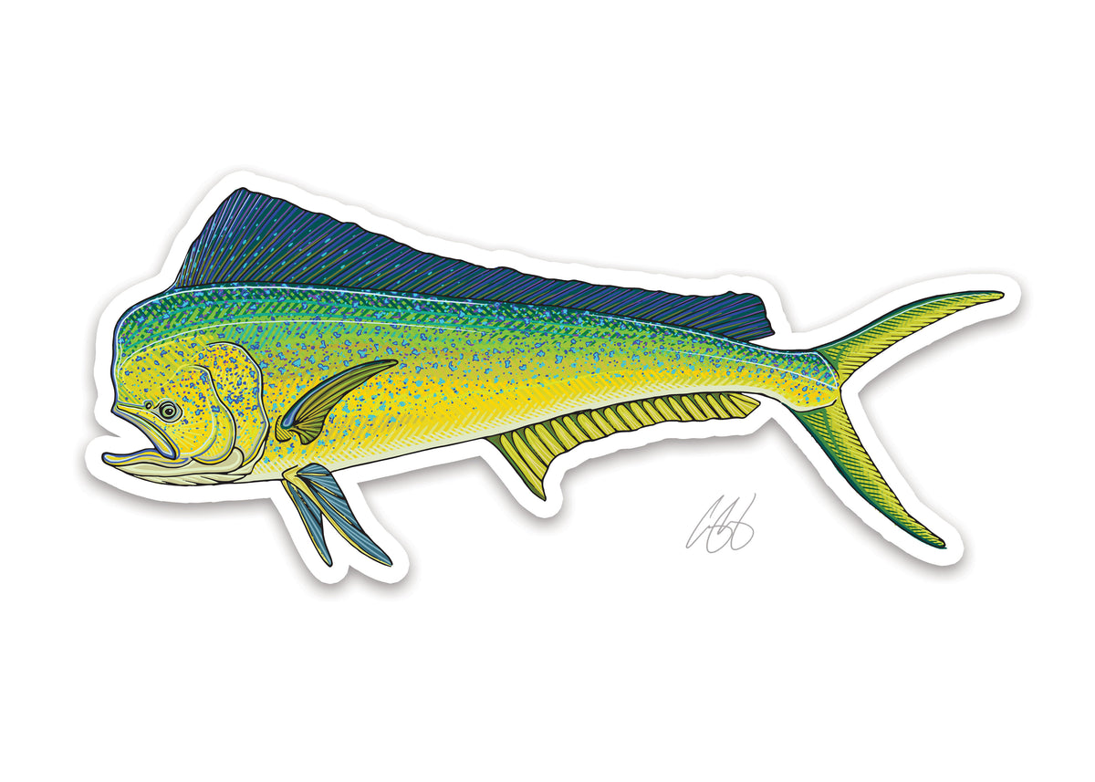 Mahi Mahi Decal– Casey Underwood Artwork & Design