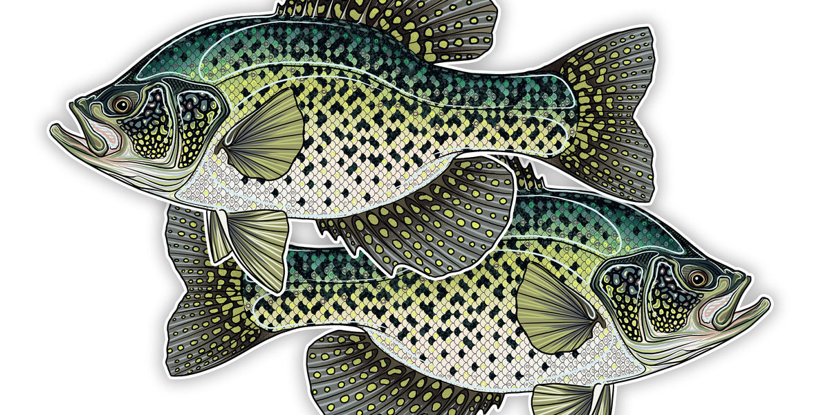 Oversized Fish Decals– Casey Underwood Artwork & Design