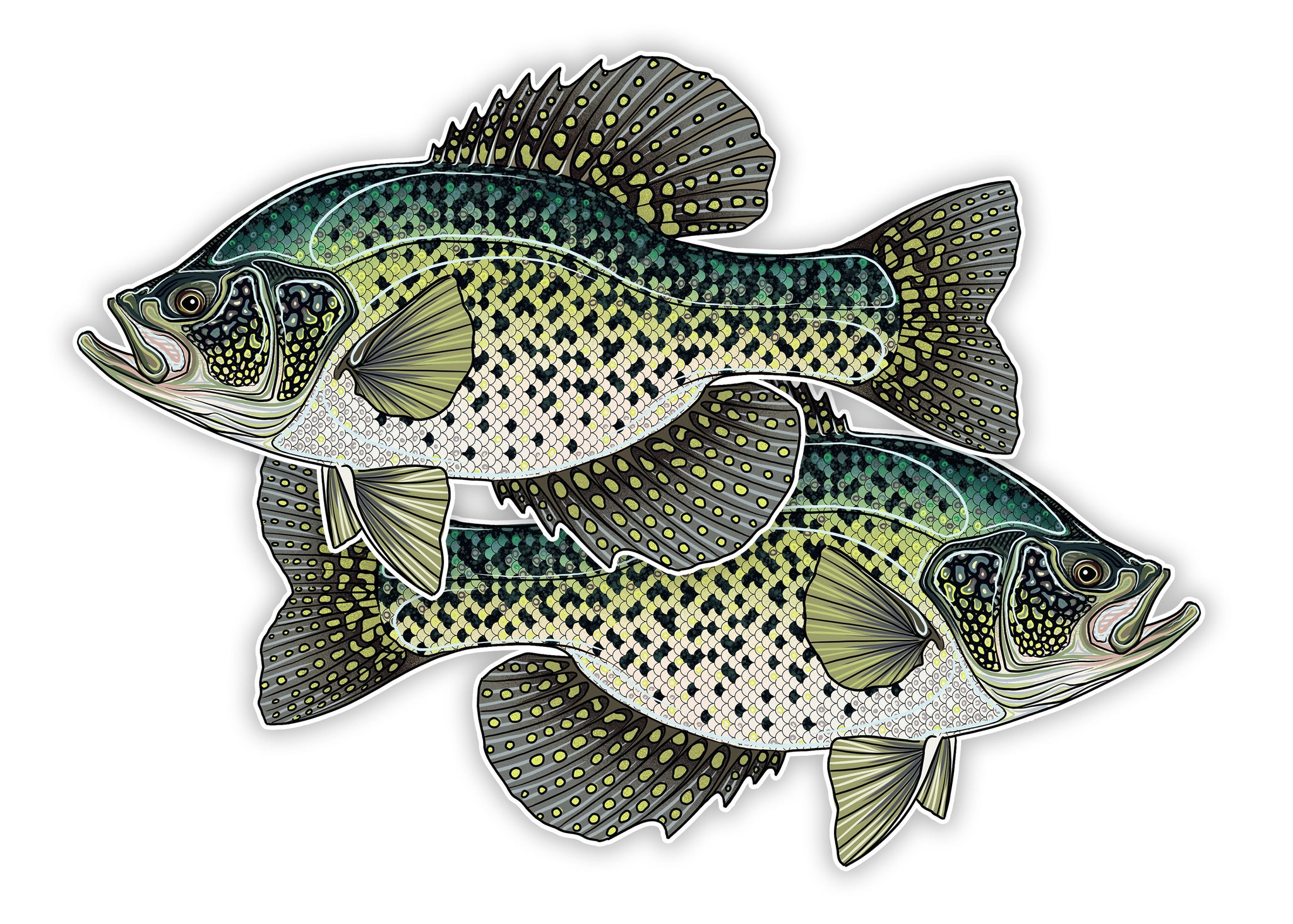 Oversized Fish Decals– Casey Underwood Artwork & Design