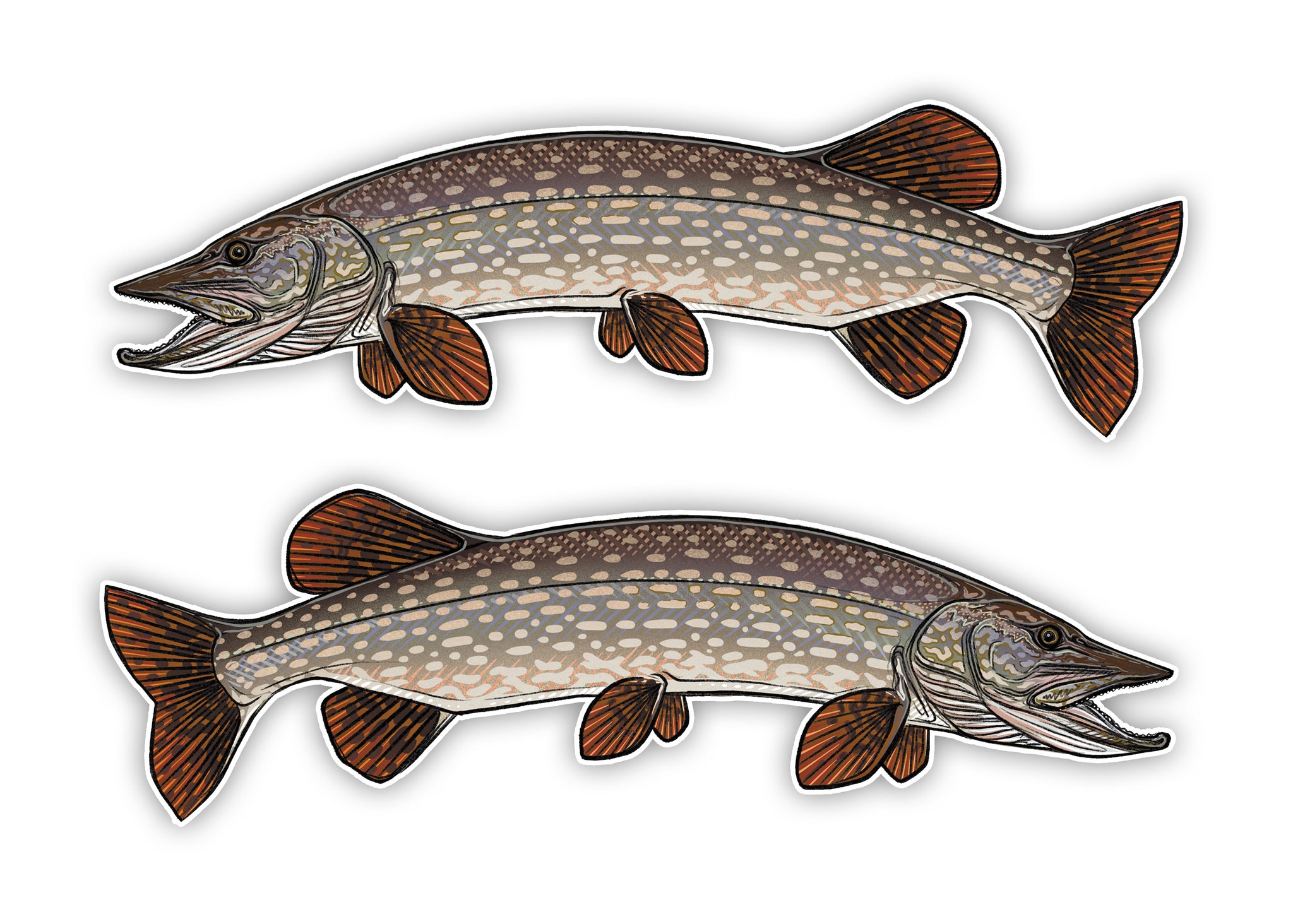 Oversized Fish Decals– Casey Underwood Artwork & Design