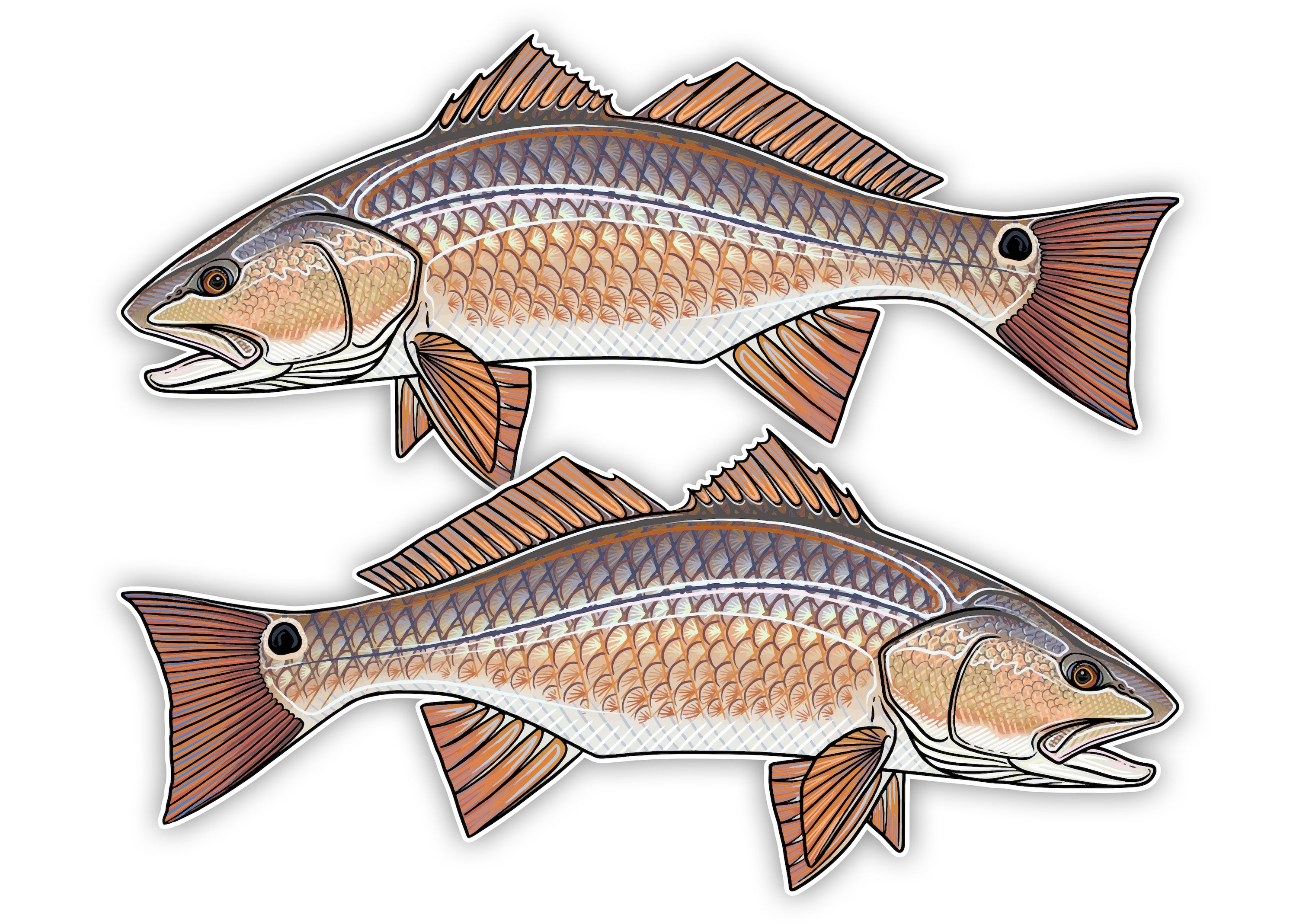 Oversized Fish Decals– Casey Underwood Artwork & Design