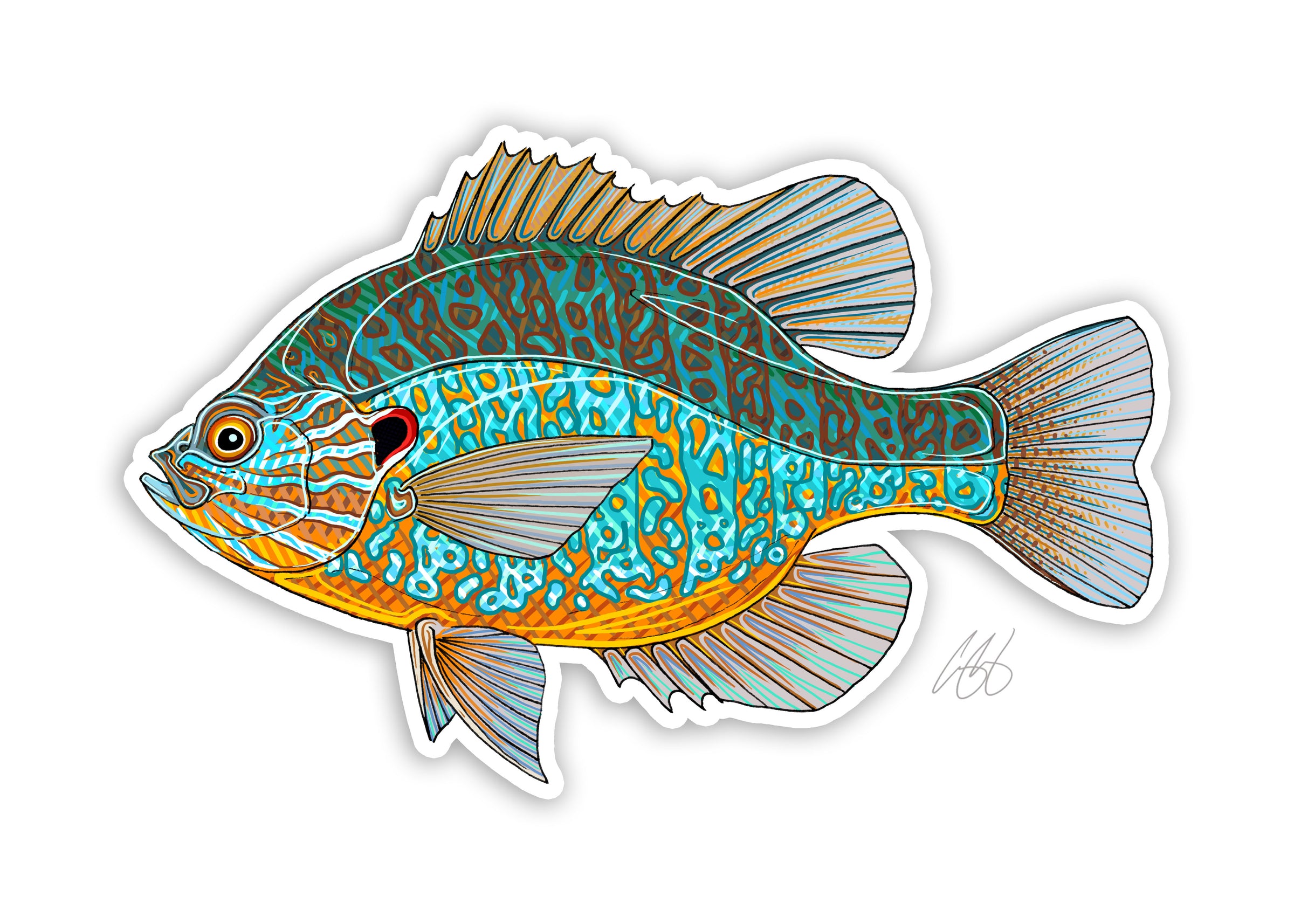 Fish Decals– Underwood Creative LLC