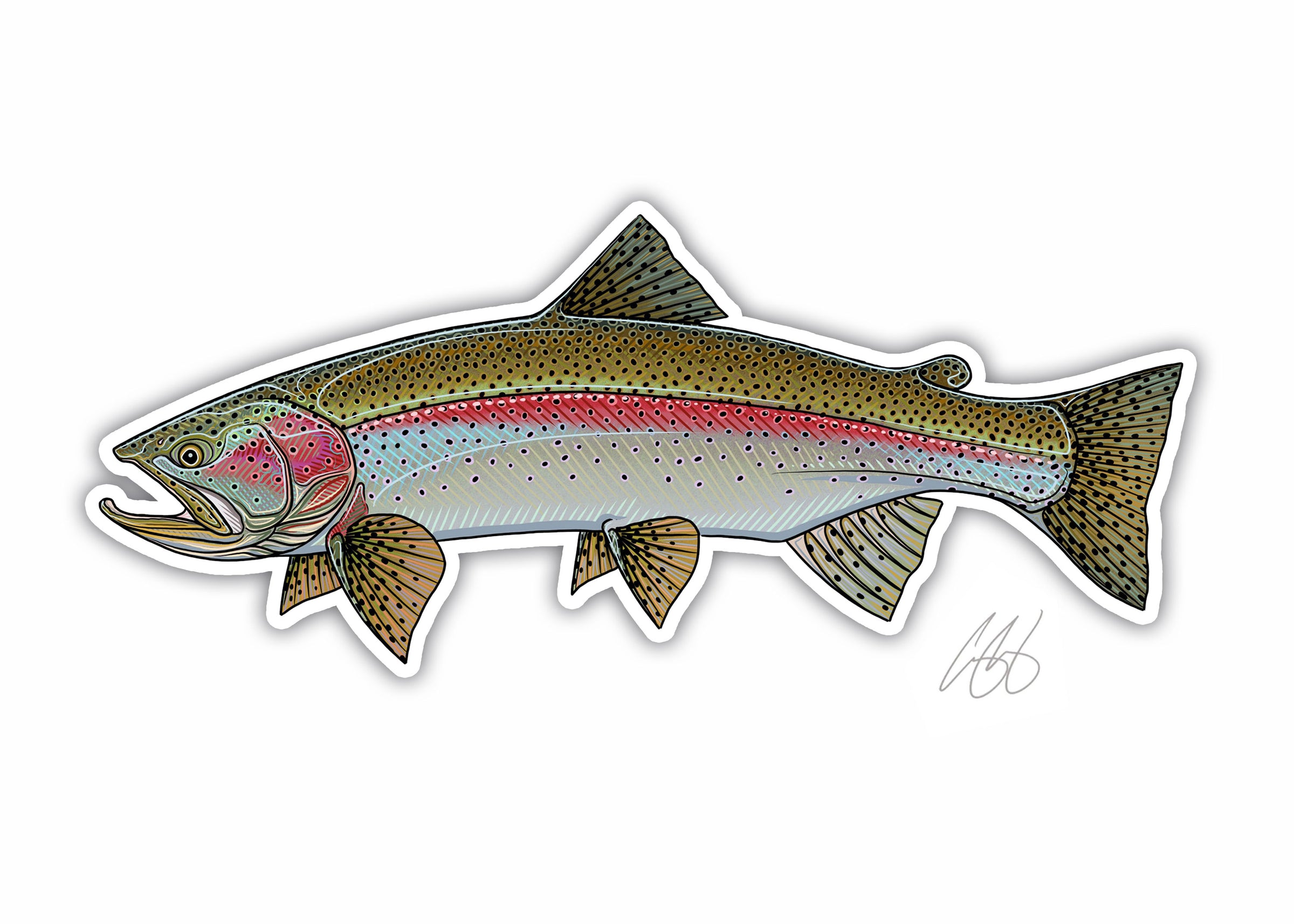 Fish Decals– Underwood Creative LLC