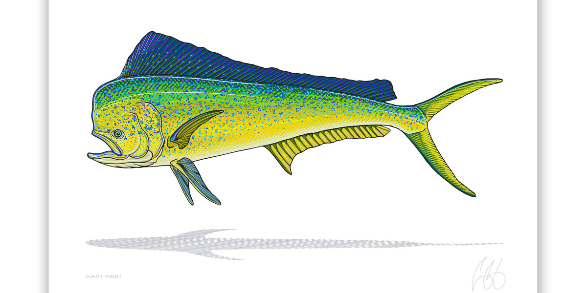 Mahi Mahi Print– Casey Underwood Artwork & Design