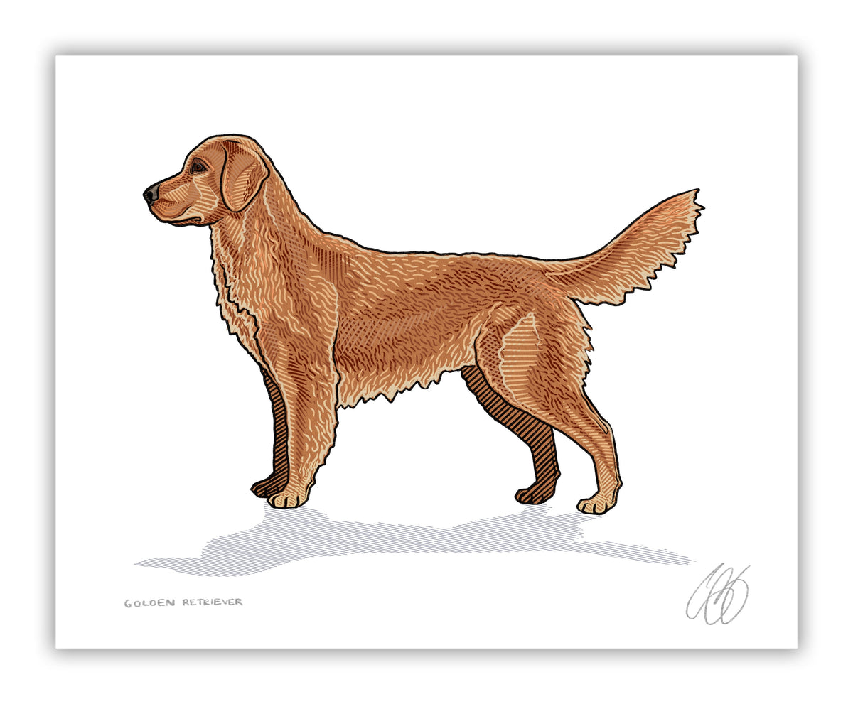 Bird Dog Prints– Casey Underwood Artwork & Design