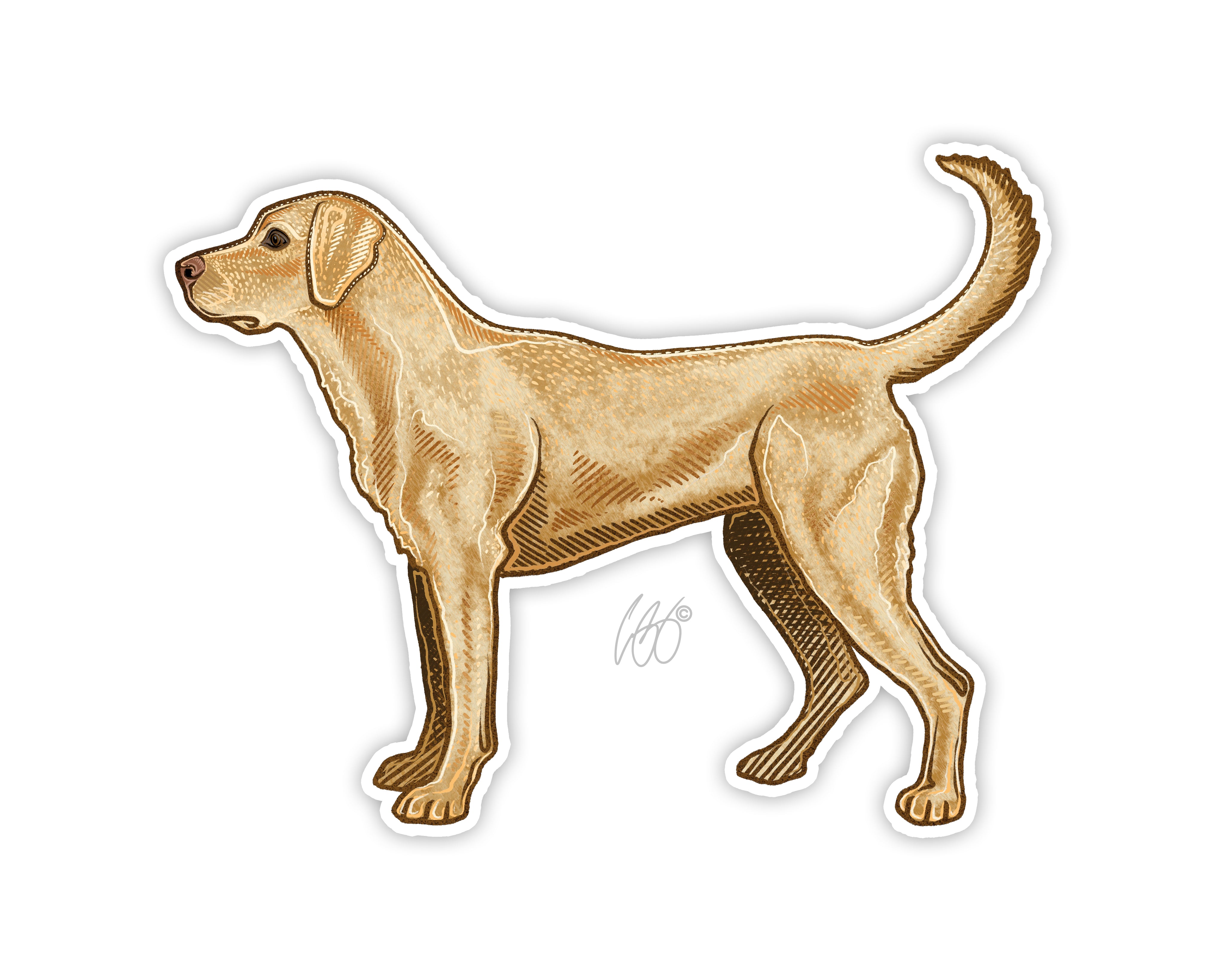 Yellow Lab Decal– Casey Underwood Artwork & Design